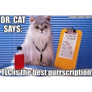 Clean Memes – The best and most clean memes online.