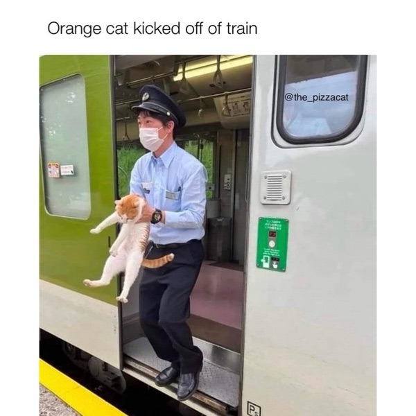 Clean Memes – The best and most clean memes online.