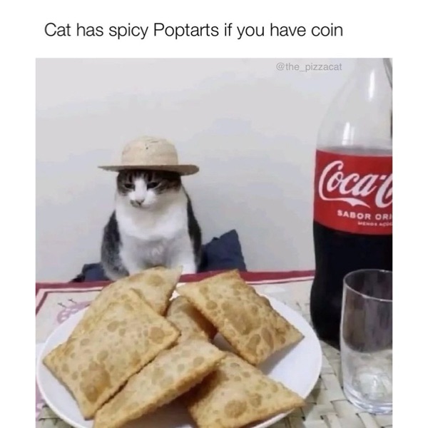 Cat Memes – Clean Memes