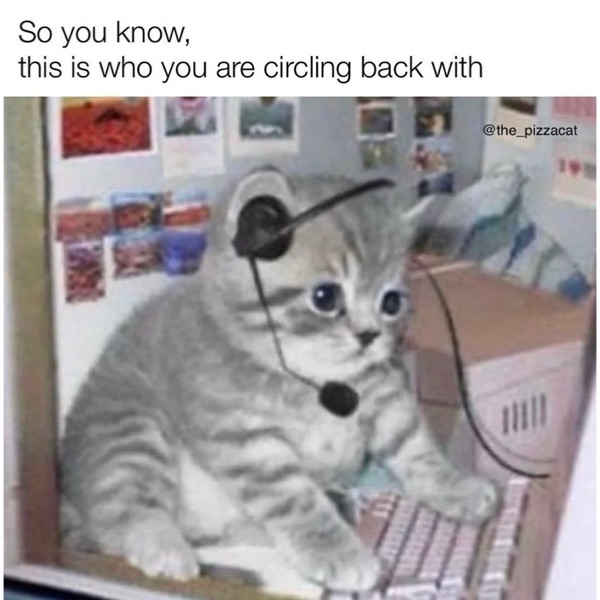 Cat Memes – Clean Memes