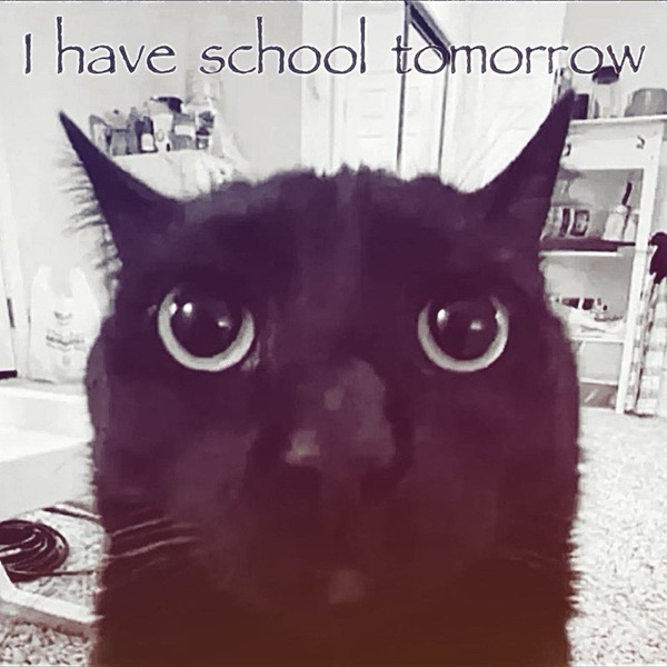 Clean Memes – Page 3 – The best and most clean memes online.