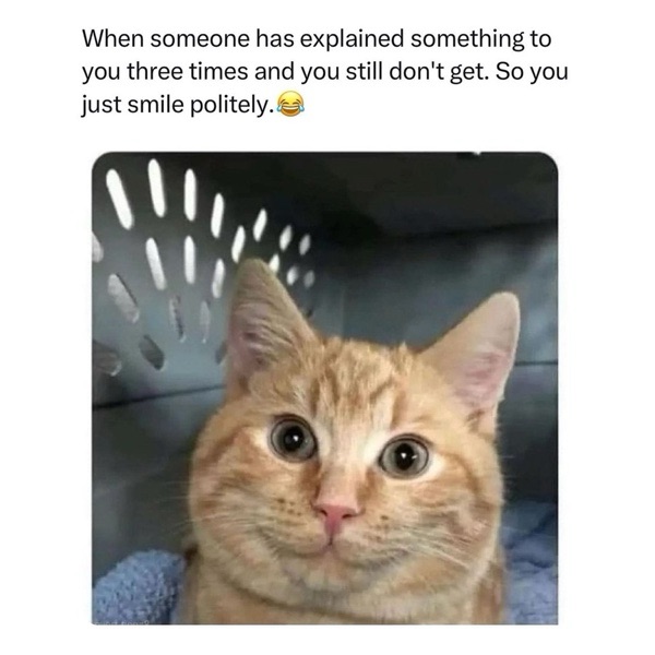 Cat Memes – Clean Memes