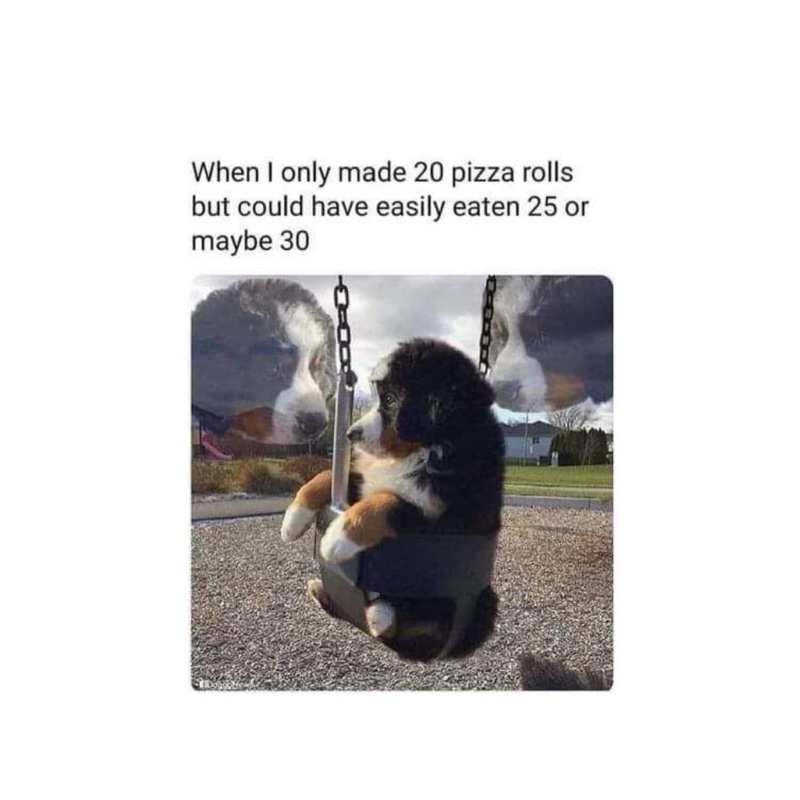 Clean Memes – Page 2 – The best and most clean memes online.