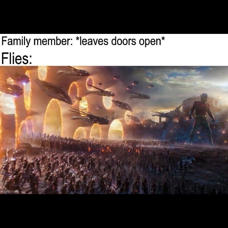 Clean meme drop 3-15-25 – Clean Memes