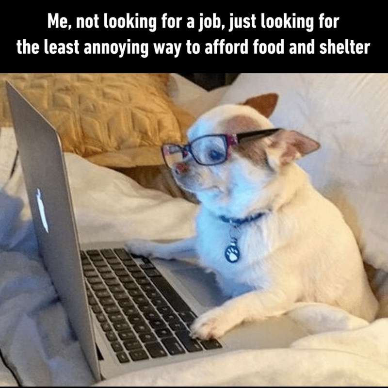 Clean Memes – The best and most clean memes online.