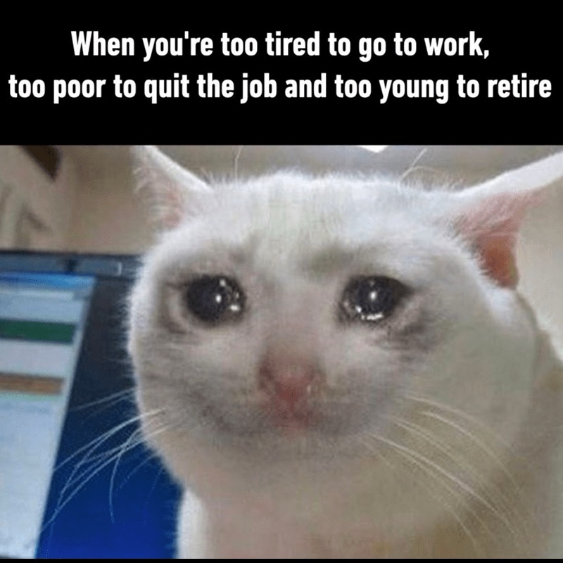 Clean Memes – The best and most clean memes online.