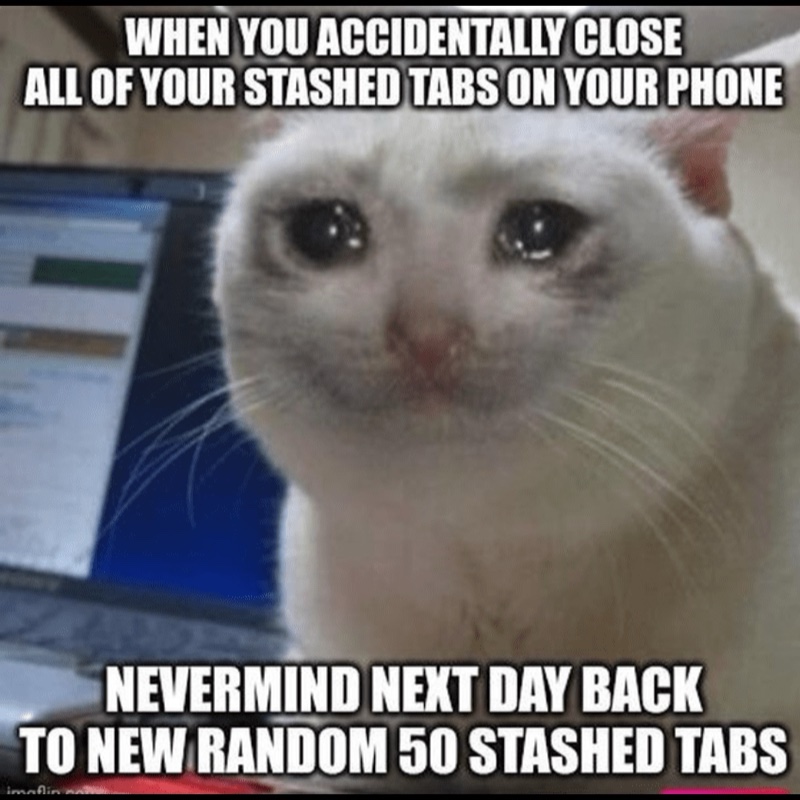 Clean Memes – The best and most clean memes online.