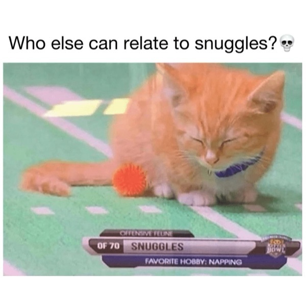 Clean meme drop 3-25-25 – Clean Memes