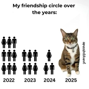 Cat Memes – Clean Memes