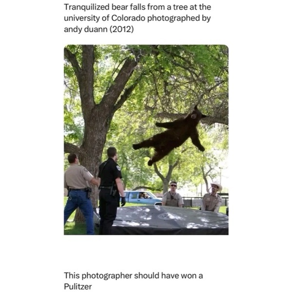 Clean Memes – The best and most clean memes online.