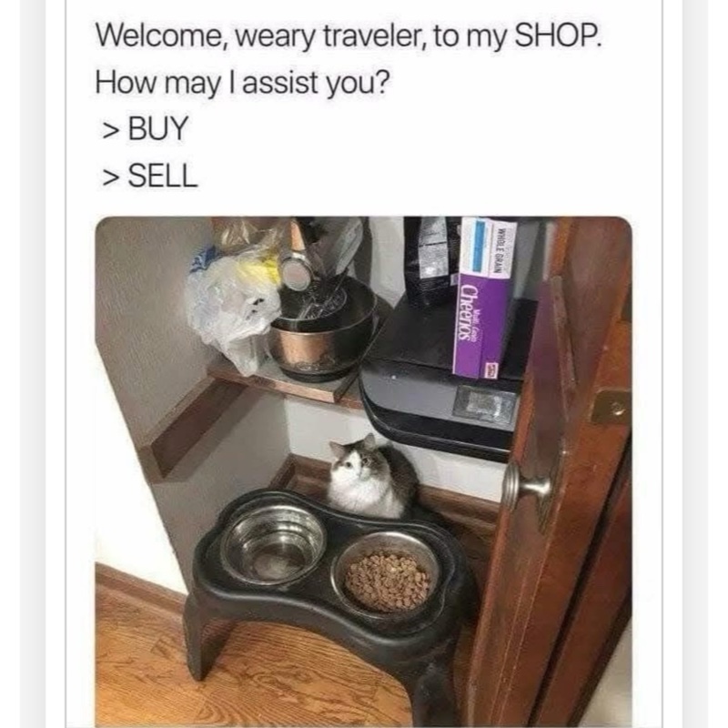 Clean Memes – Page 3 – The best and most clean memes online.