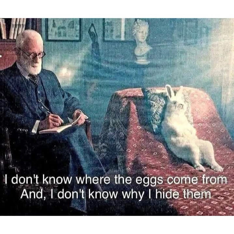 Clean Memes – Page 3 – The best and most clean memes online.