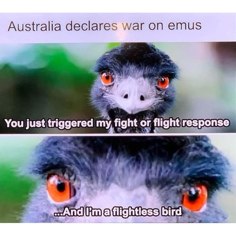 Clean Memes – The best and most clean memes online.