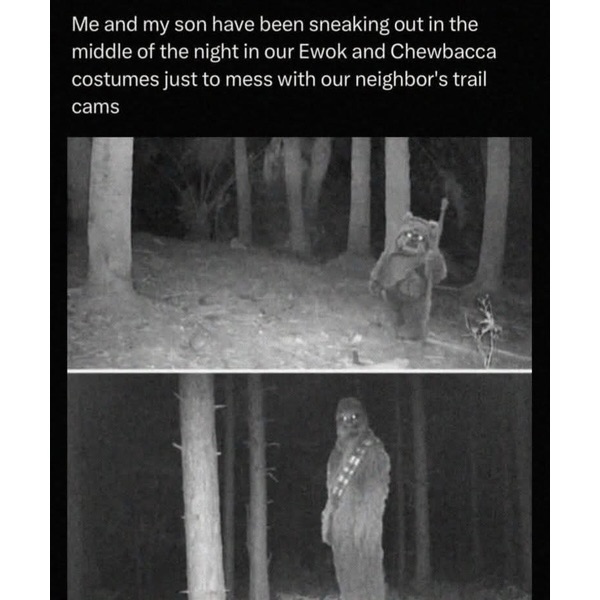 Clean Memes – Page 5 – The best and most clean memes online.