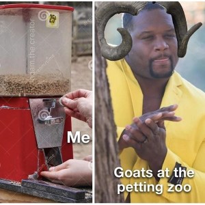 Clean Memes – The best and most clean memes online.