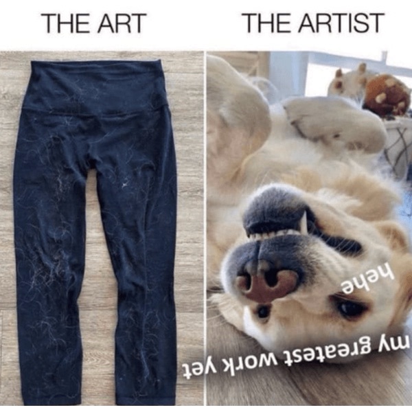 Clean meme drop batch 1 6-15-25 – Clean Memes