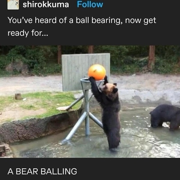 Clean Memes – The best and most clean memes online.