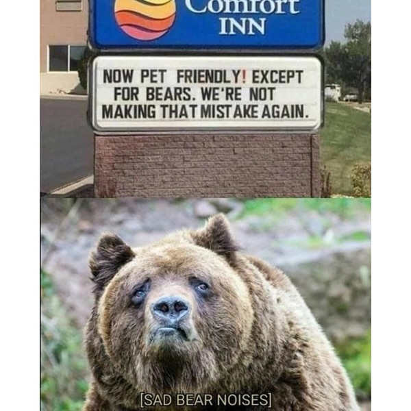 Clean Memes – The best and most clean memes online.