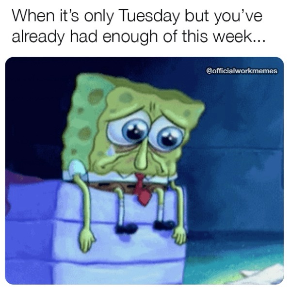 Clean Memes – The best and most clean memes online.