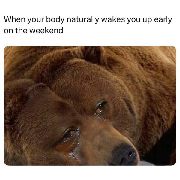 Clean Memes – Page 3 – The best and most clean memes online.