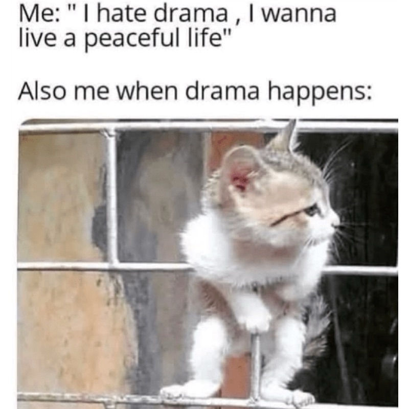 Clean Memes – The best and most clean memes online.