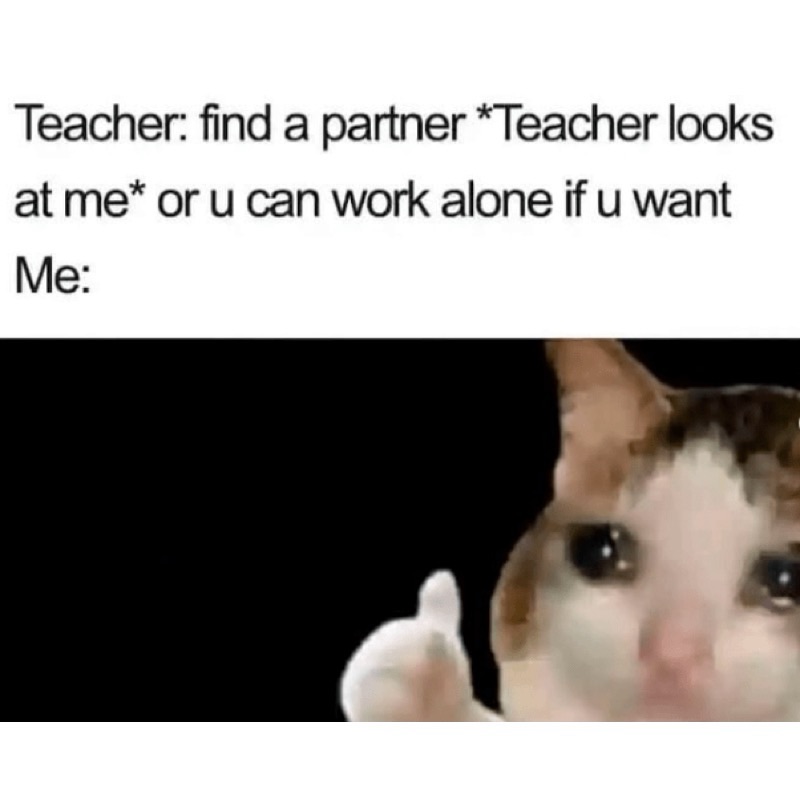 Clean Memes – The best and most clean memes online.