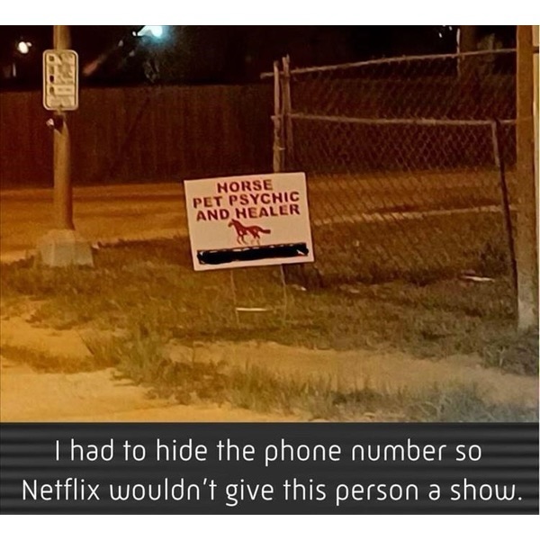 Clean Memes – Page 2 – The best and most clean memes online.