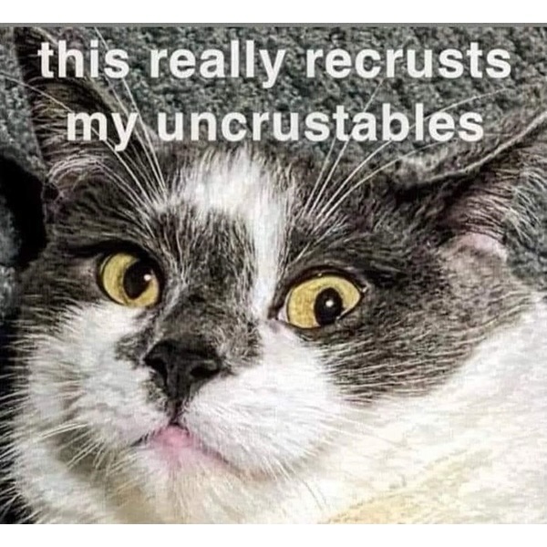 Cat Memes – Clean Memes