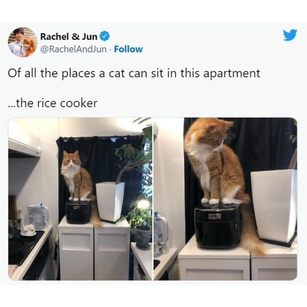 September 2025 – Clean Memes