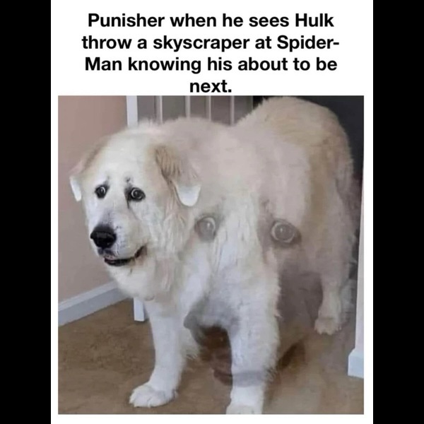 Clean meme drop 10-15-25 – Clean Memes