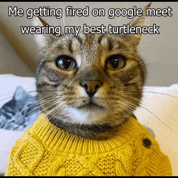 Clean meme drop 12-8-2025 – Clean Memes