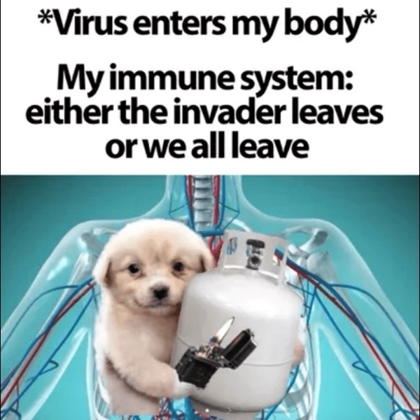 Clean meme drop 12-4-25 – Clean Memes