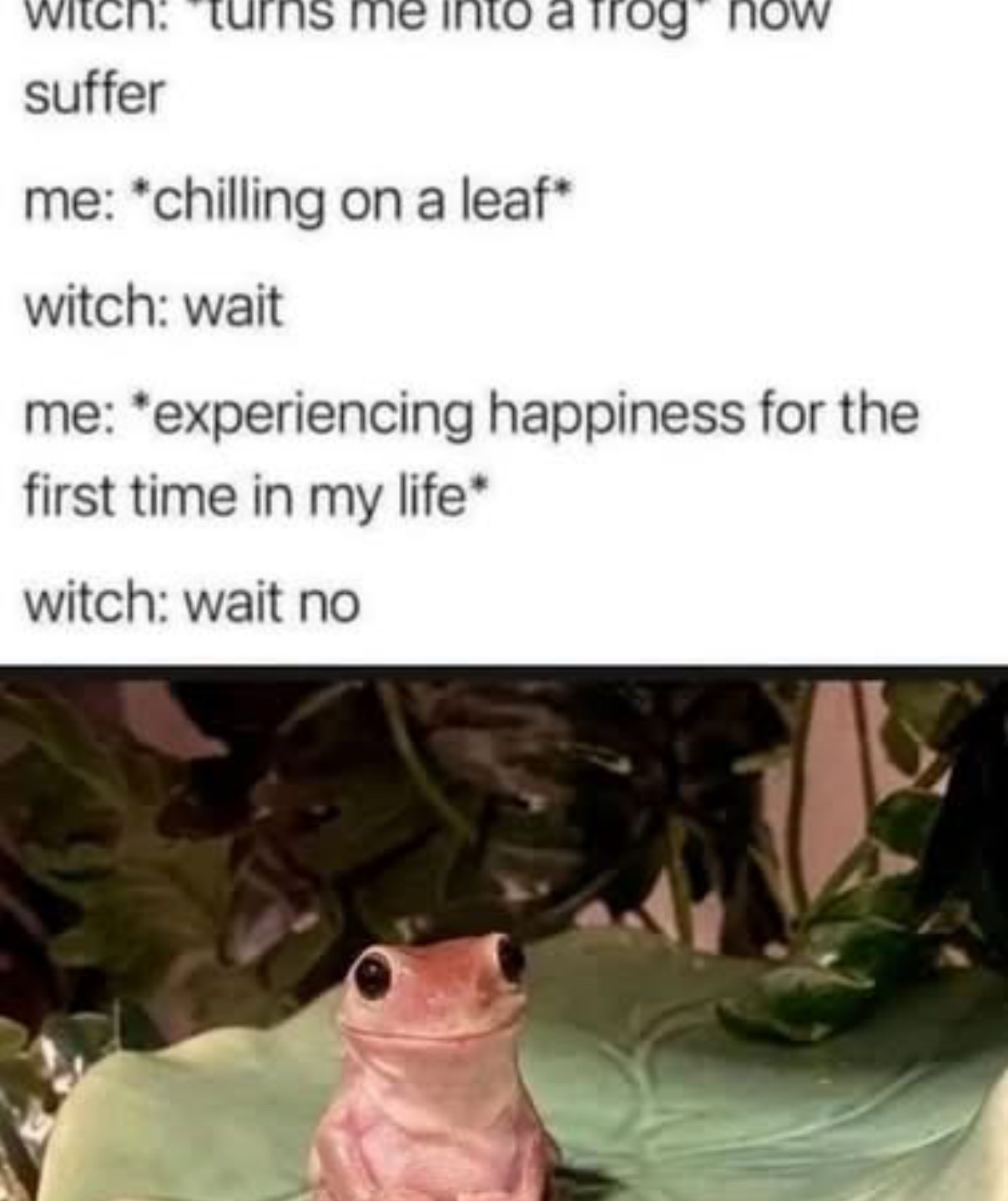 Clean meme drop 10-3-25 – Clean Memes