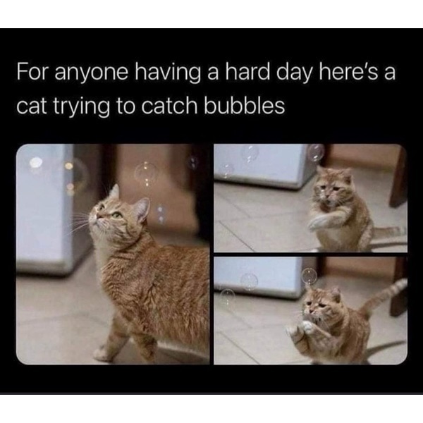 Clean meme drop 1-22-26 – Clean Memes