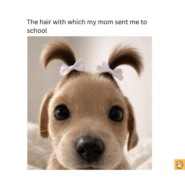 Dog memes 5-23-26 – Clean Memes