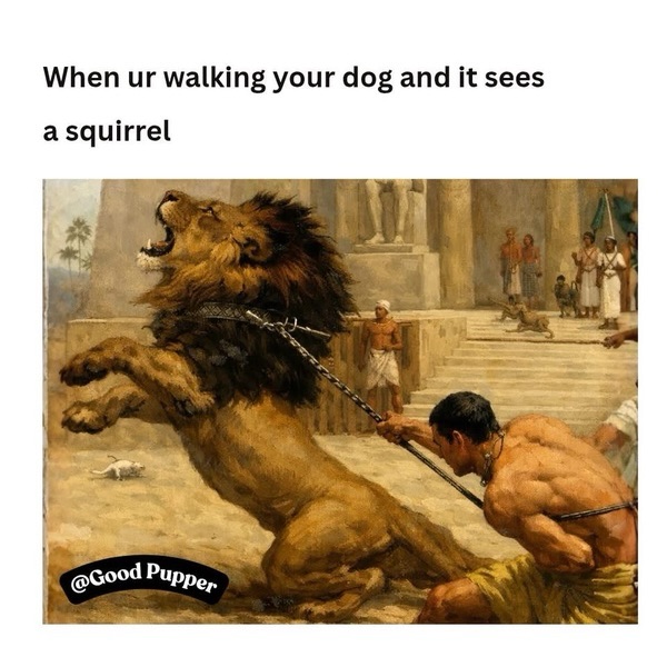 Dog memes 5-29-26 – Clean Memes
