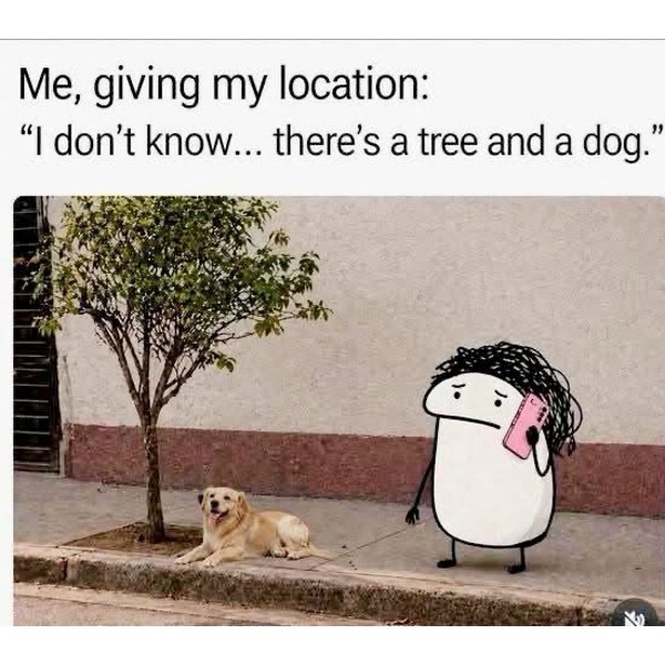 Dog memes 5-29-26 – Clean Memes