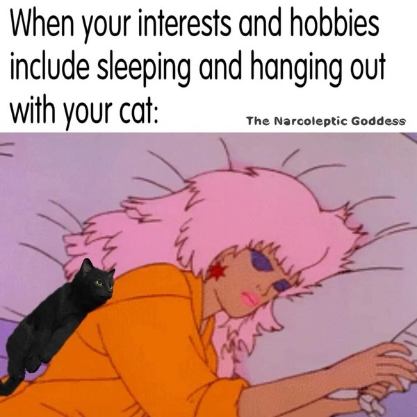 Cat memes 5-25-26 – Clean Memes