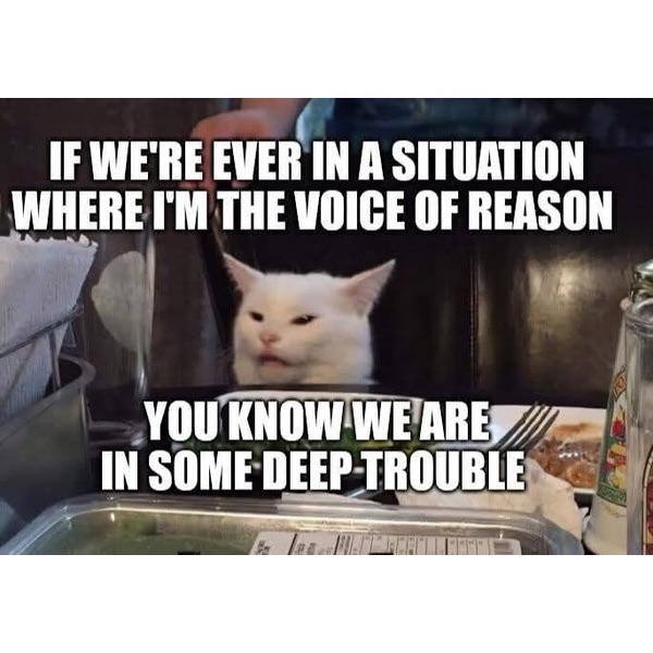 Cat memes 5-25-26 – Clean Memes