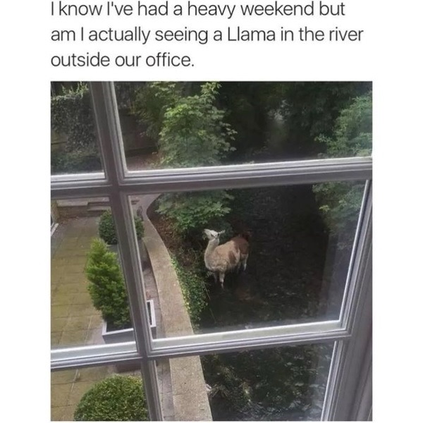 Clean meme drop 5-28-26 early evening – Clean Memes