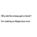 Clean Memes – The best and most clean memes online.