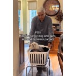 Clean Memes – The best and most clean memes online.