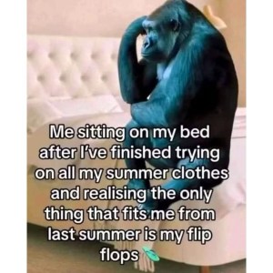 Clean Memes – The best and most clean memes online.