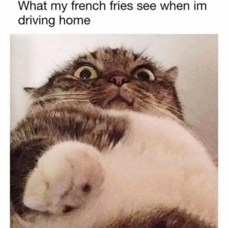 Clean Memes – The best and most clean memes online.