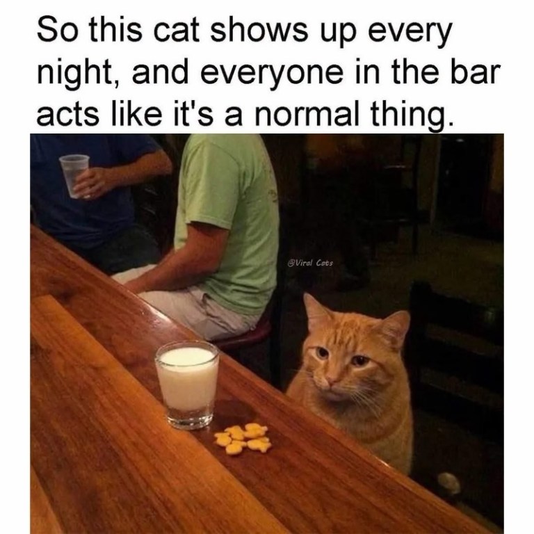 Clean Memes – The best and most clean memes online.